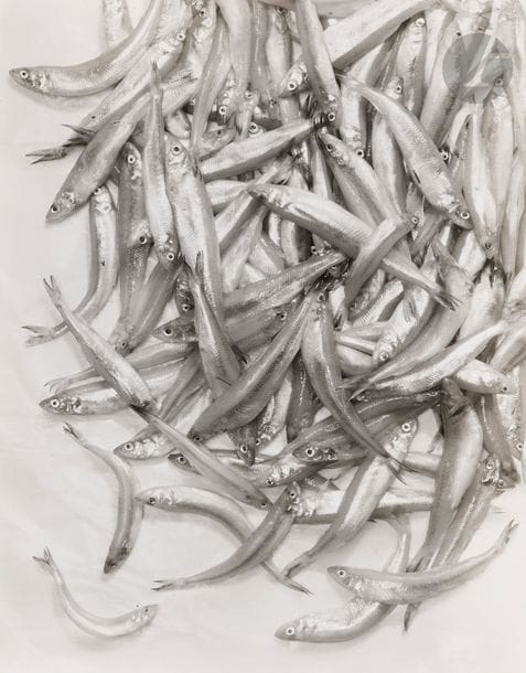 Emmanuel Sougez | Ã perlans (1935) | MutualArt