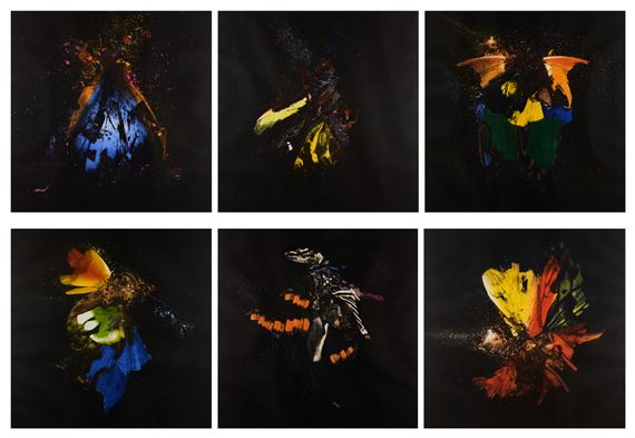 mat-collishaw-insecticide-13-18-2010-mutualart