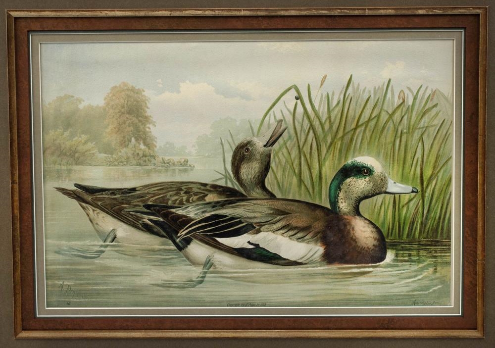 Alexander Pope Jr. | Water Fowl (1878) | MutualArt