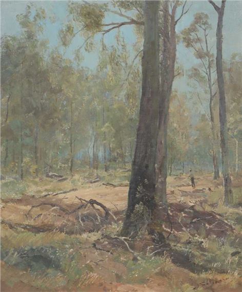 Solomon Lance | Ourimbah State Forest | Compare similar artworks ...
