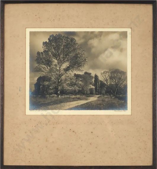 George Chance | Autumn In South Canterbury | MutualArt