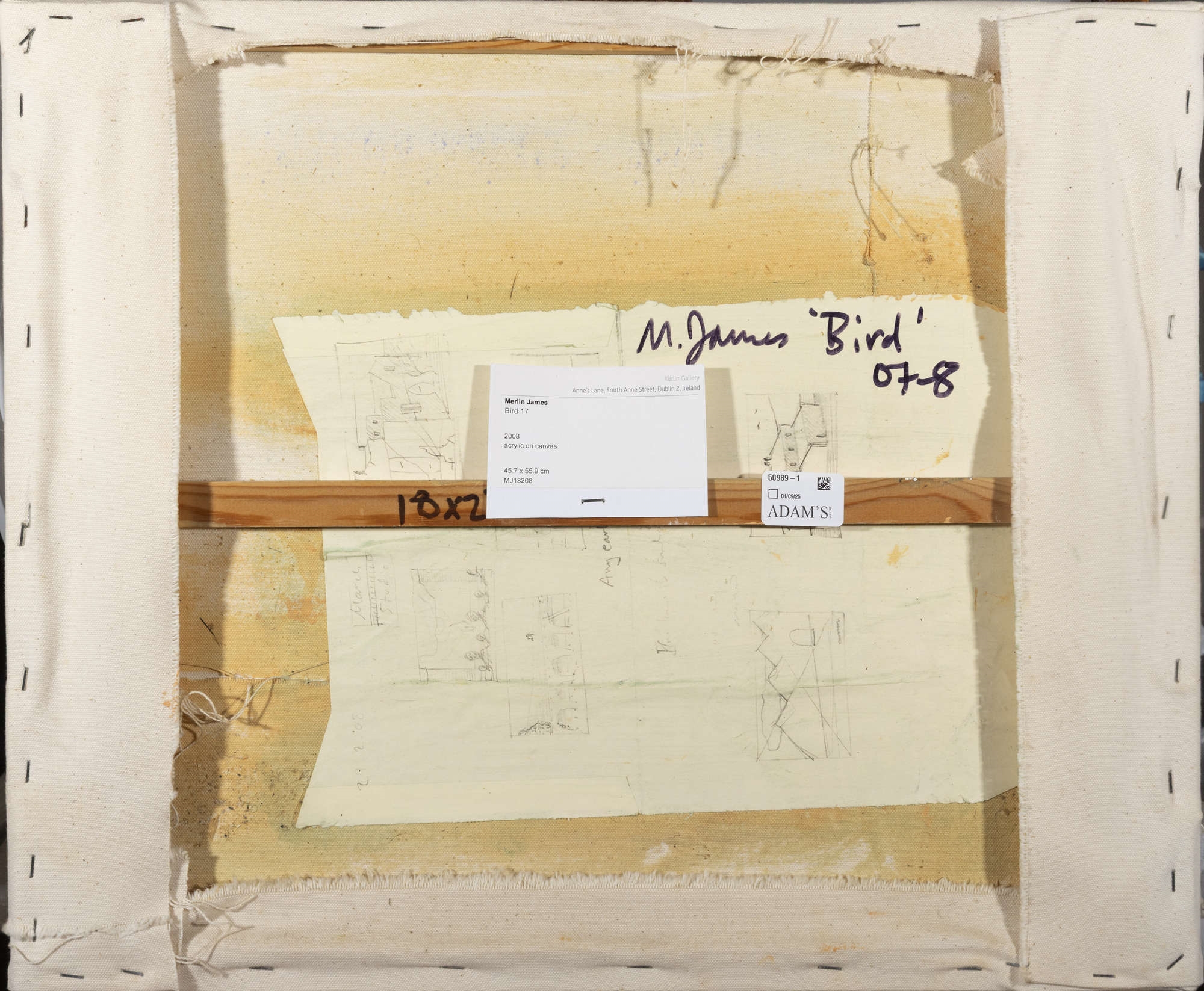 Merlin James | Bird 17 | MutualArt