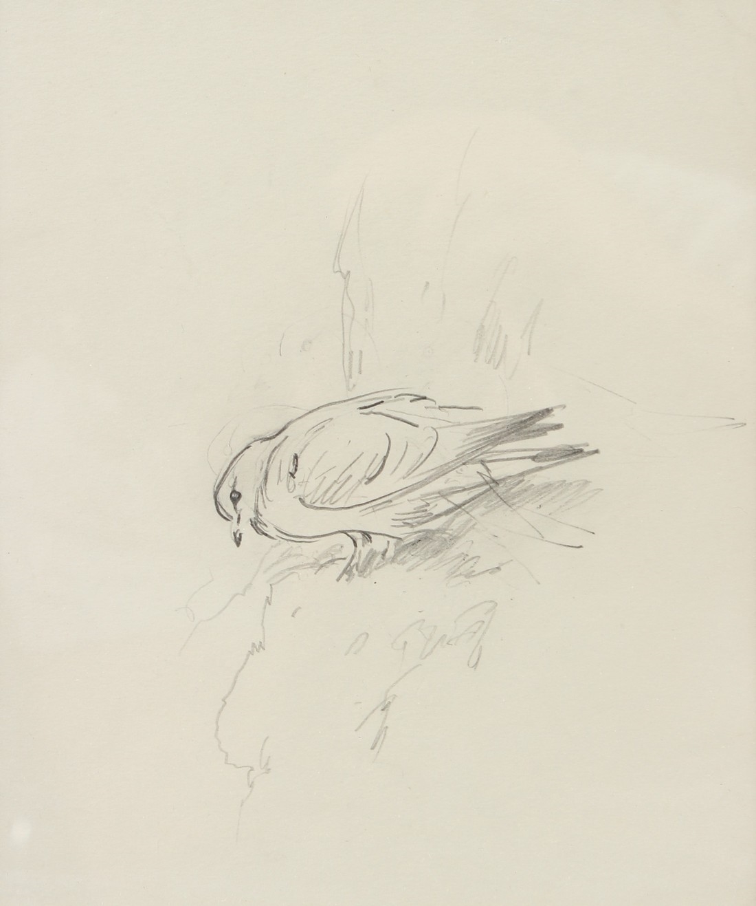 Archibald Thorburn | pencil sketch of a dove | MutualArt