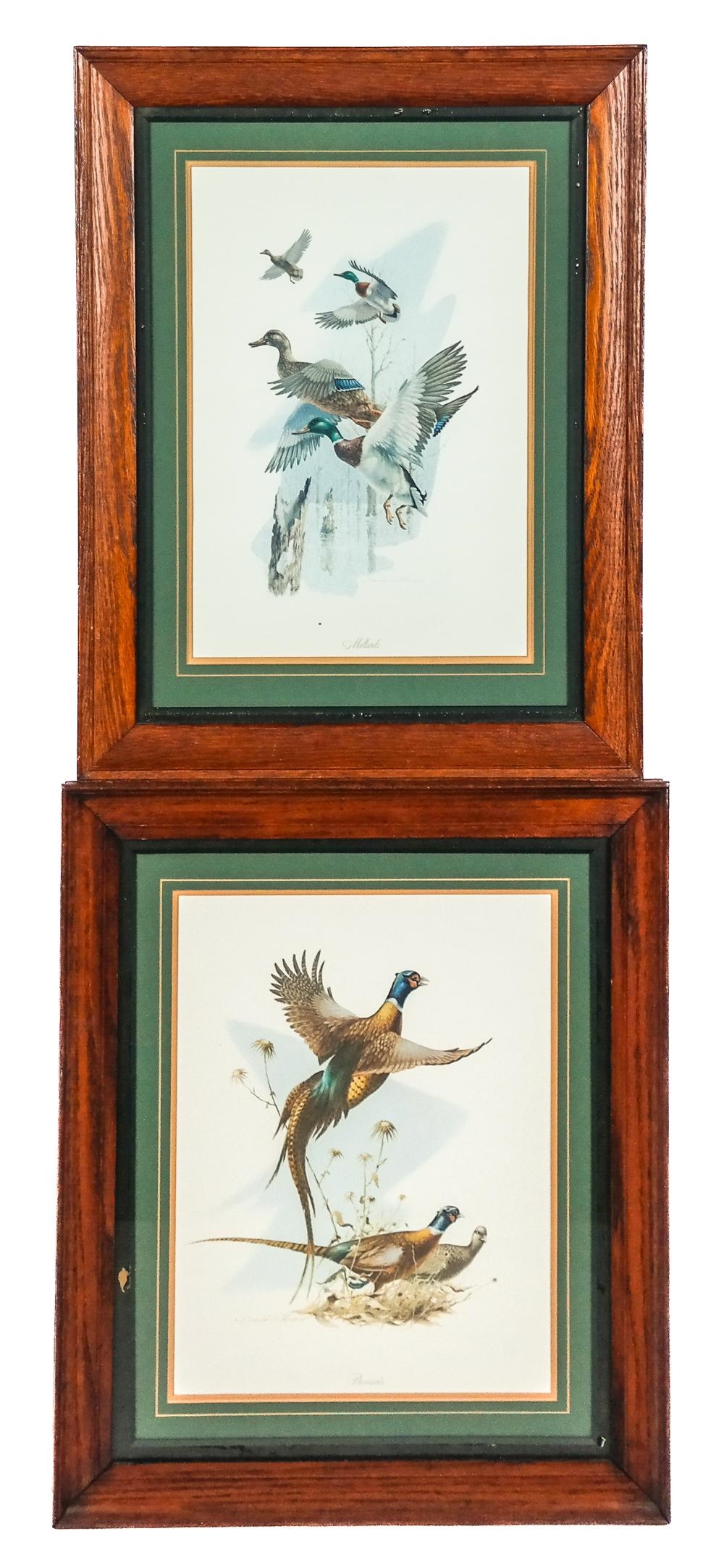 Douglas Van Howd | Pheasants and Mallards | MutualArt