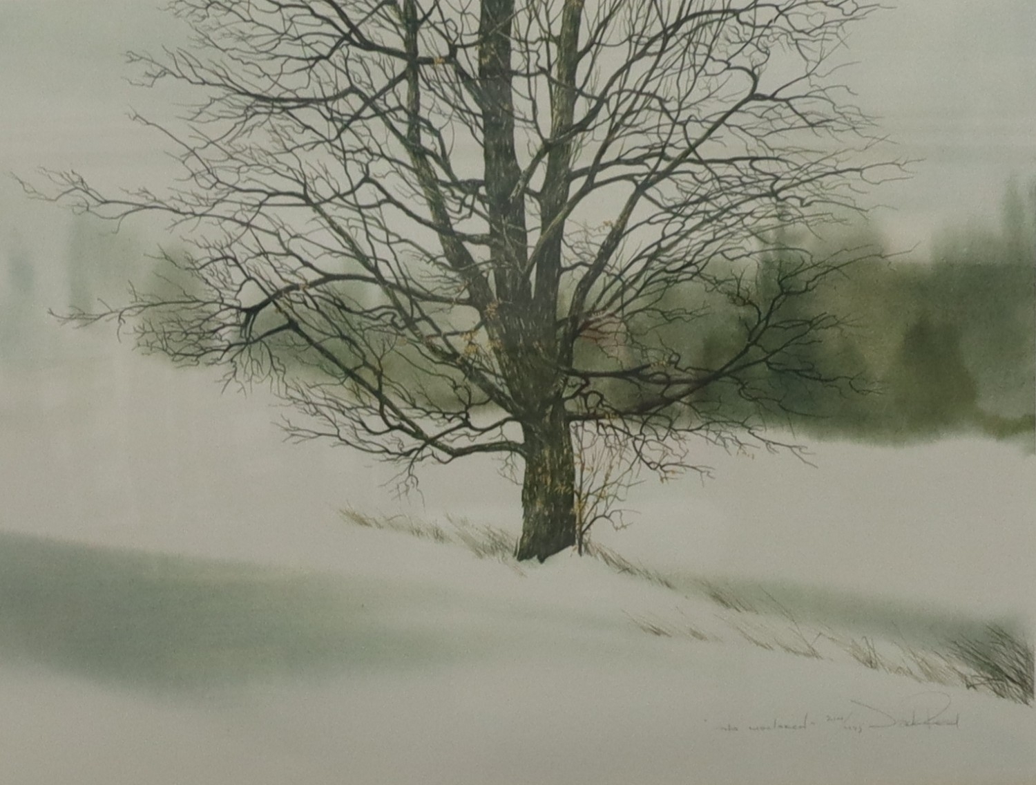 Jack Henry Reid | The Monarch | MutualArt
