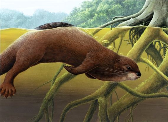 Rob Stine | Beaver Swimming (1985) | MutualArt