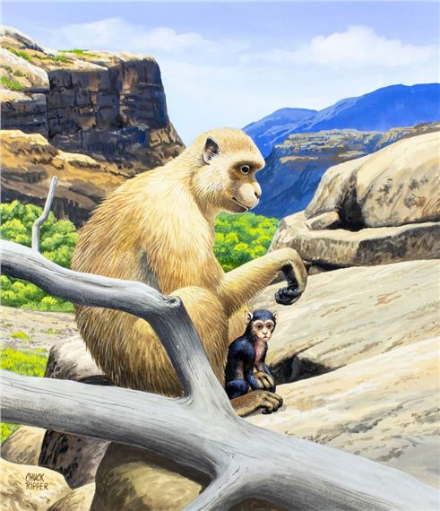 Chuck Ripper | Barbary Macaque, Ape (1997) | MutualArt