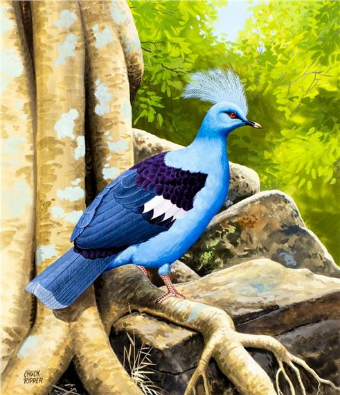 Chuck Ripper | Blue Crowned Pigeon Bird (1997) | MutualArt