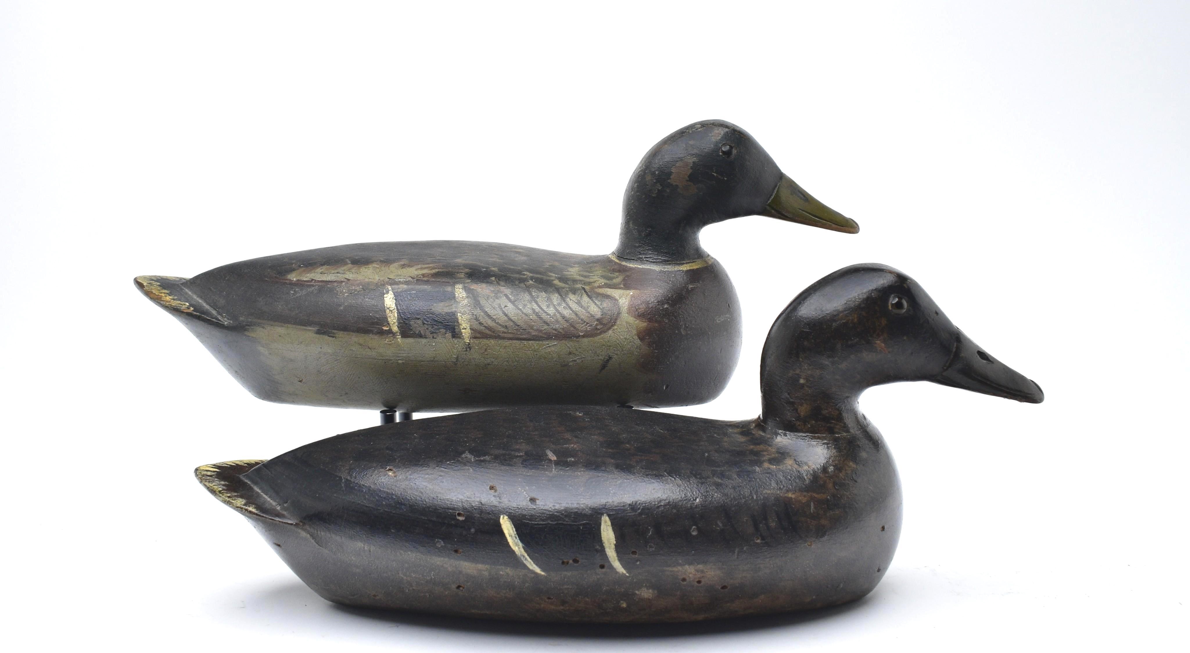 G. Bert Graves | Pair of mallards | MutualArt