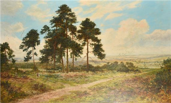 Daniel Sherrin | Daniel Sherrin (1868-1940), a shepherd driving his ...