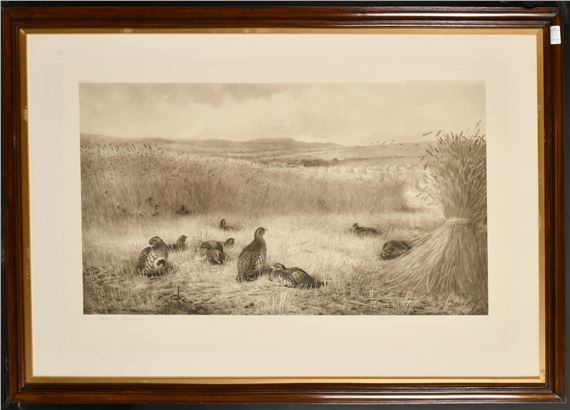 Archibald Thorburn | Archibald Thorburn (1860-1935), game birds nestled ...