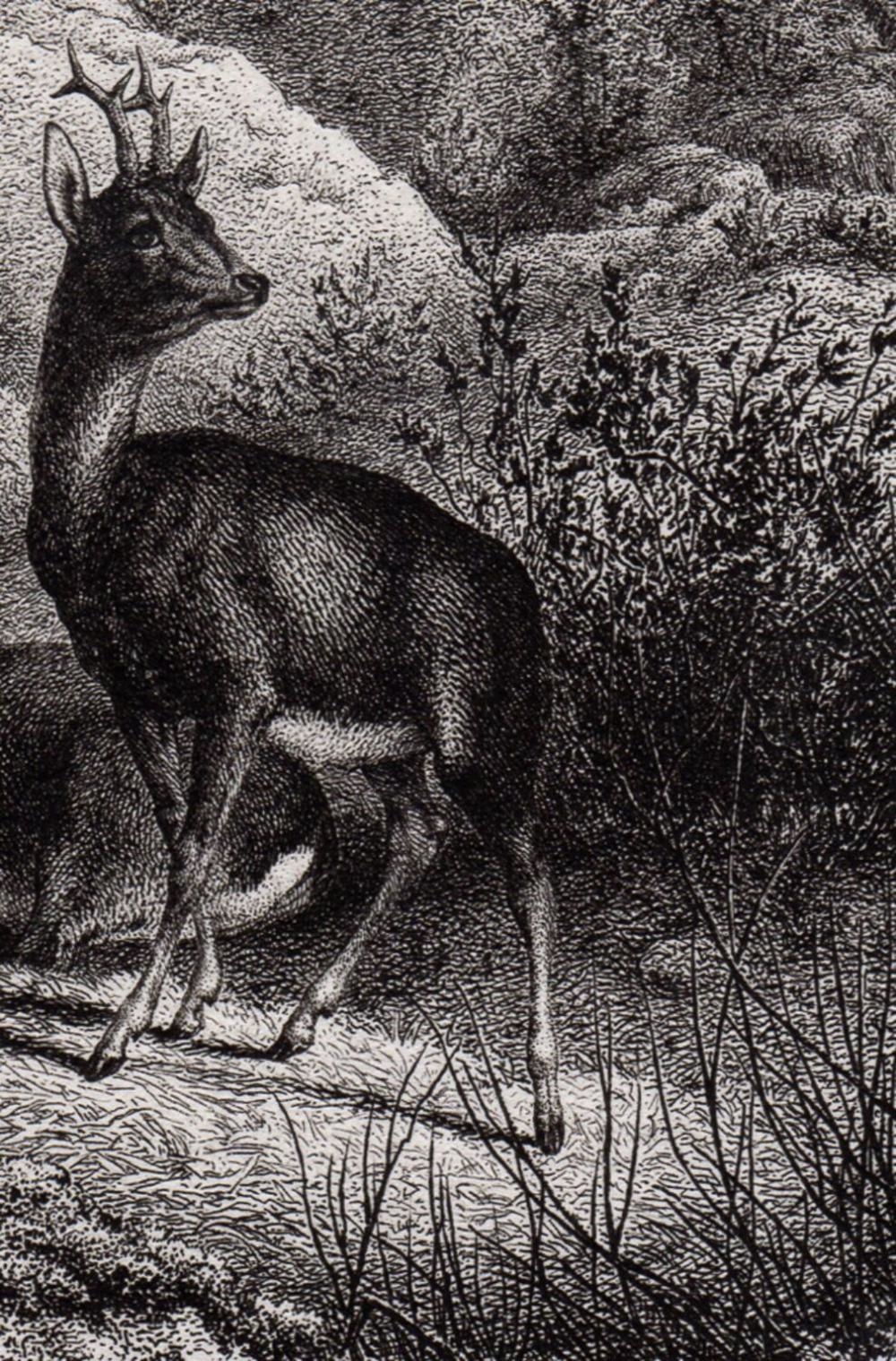 Charles Beyer | In the Forest of Fontainbleau (Forest of Heather (1876 ...