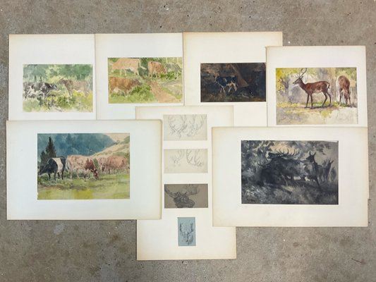 Hermann Faber | Animal Watercolors | MutualArt