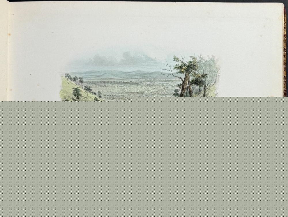 Samuel Thomas Gill | Victoria Illustrated (1857) | MutualArt