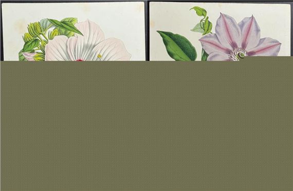 Louis van‏ Houtte‏ | 4 Botanical Prints (1845 - 1883) | MutualArt