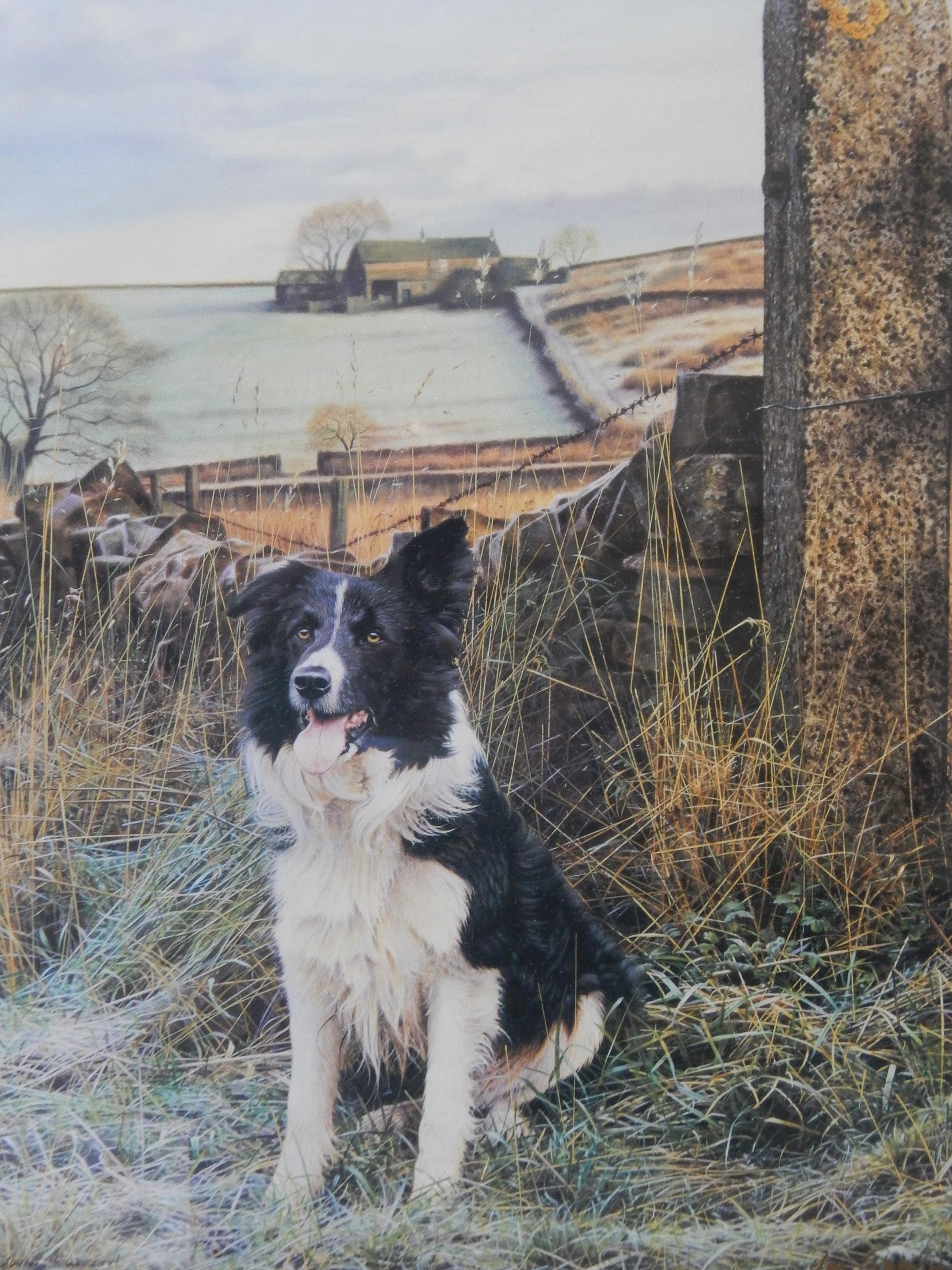 Steven Townsend | Up North | MutualArt