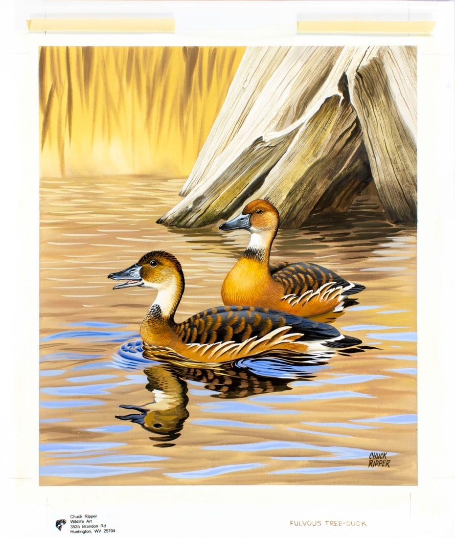 Chuck Ripper | Fulvous Tree Duck (2002) | MutualArt