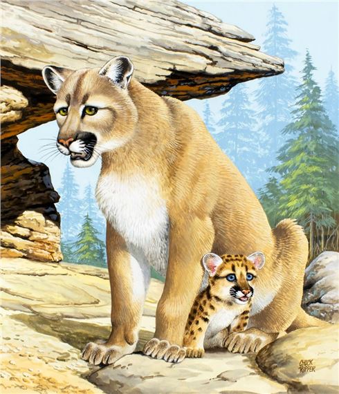 Chuck Ripper | Mountain Lion - Cougar (1997) | MutualArt