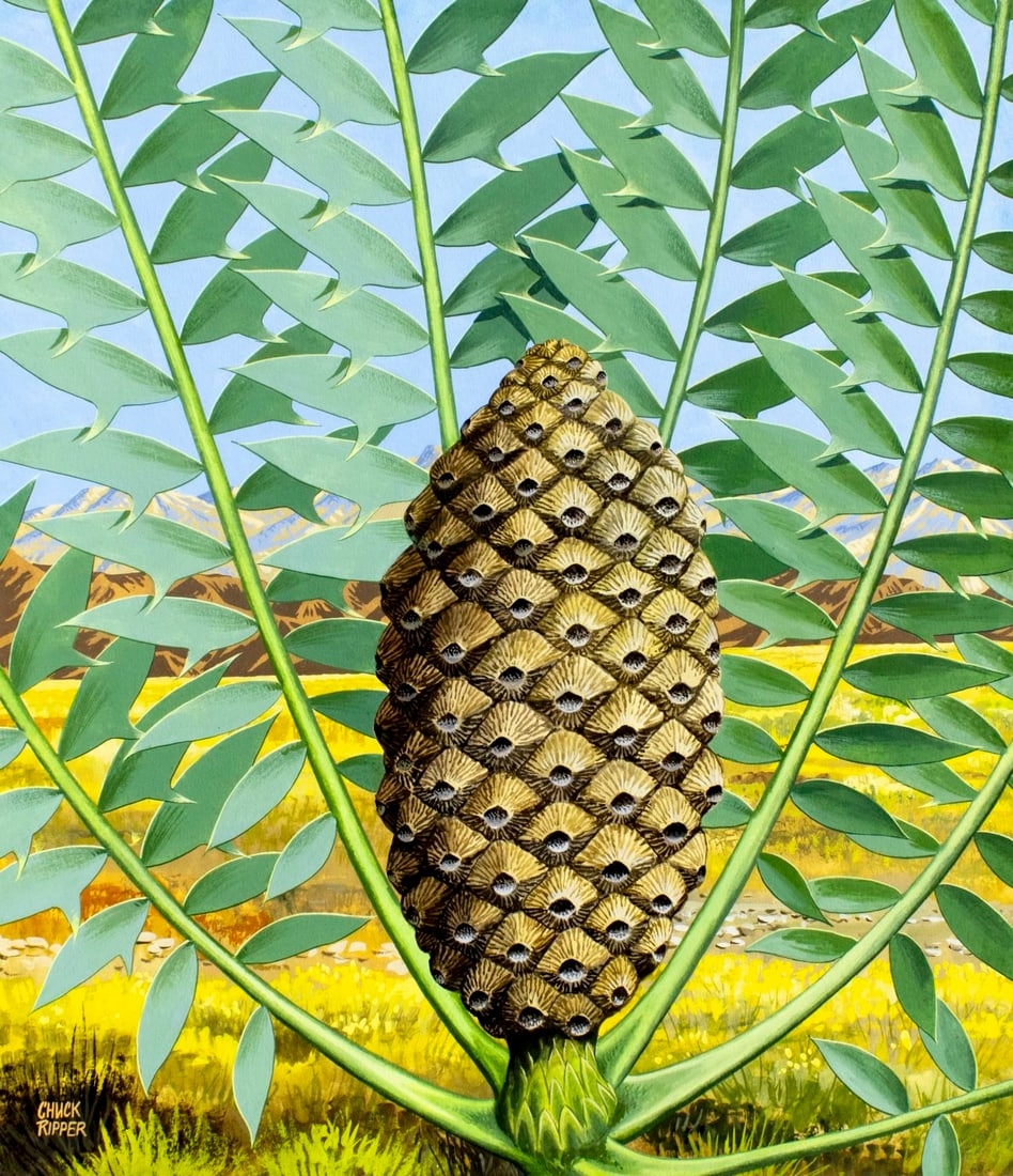 Chuck Ripper | Encephalartos Horridus - Plant (1995) | MutualArt