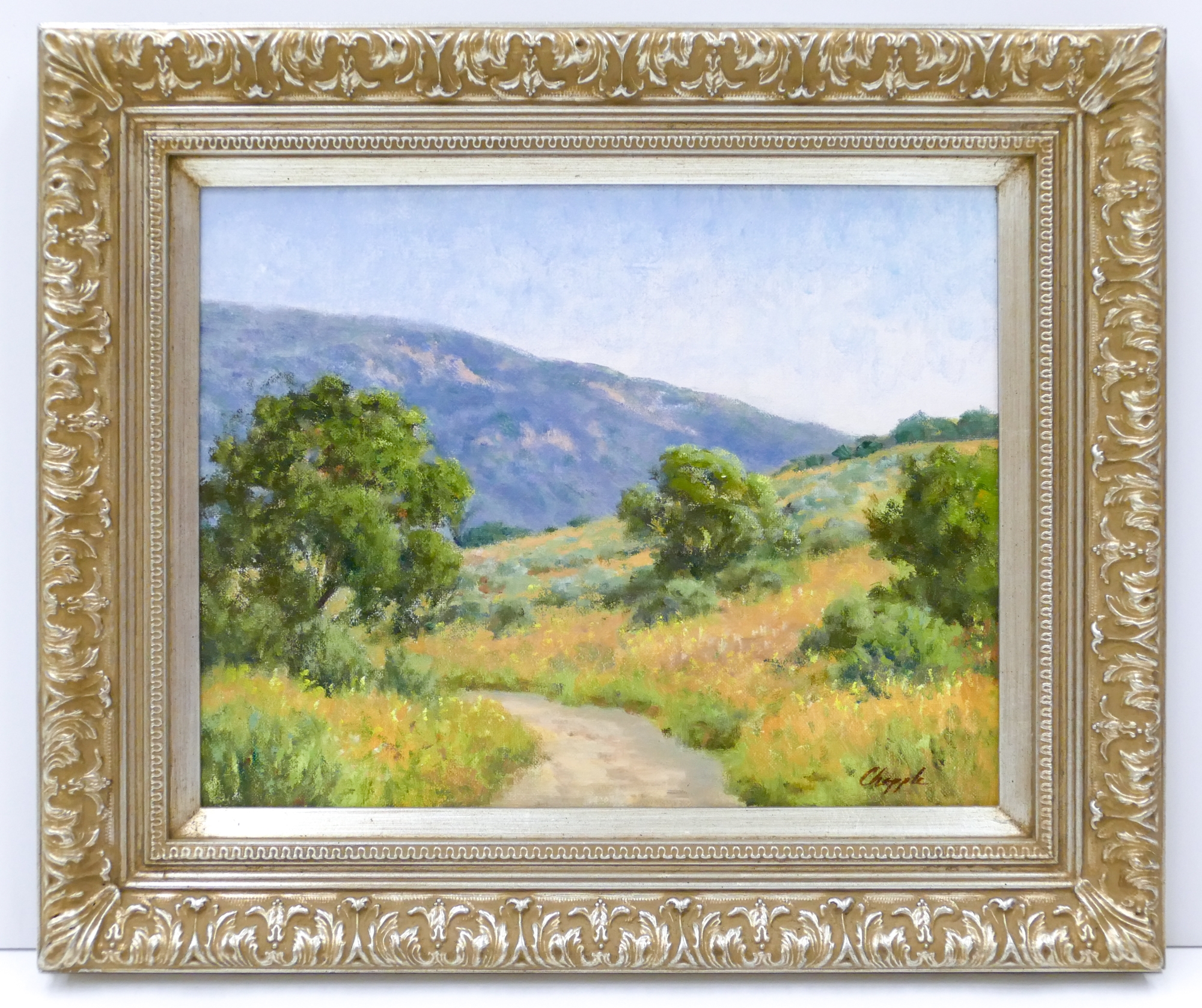 David Chapple | Canyon Trail | MutualArt