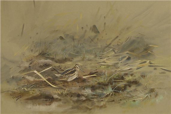 George Edward Lodge | Jack Snipe | MutualArt