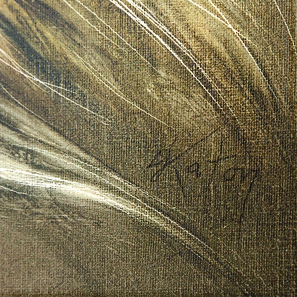 Martin Katon | White Lion | MutualArt