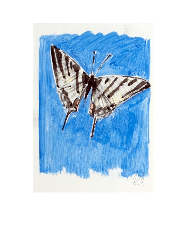 Rainer Kriester | Butterfly | MutualArt