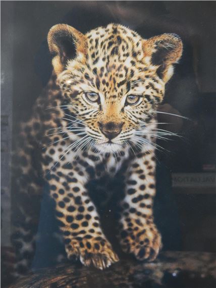 Steven Townsend | First Adventure | MutualArt