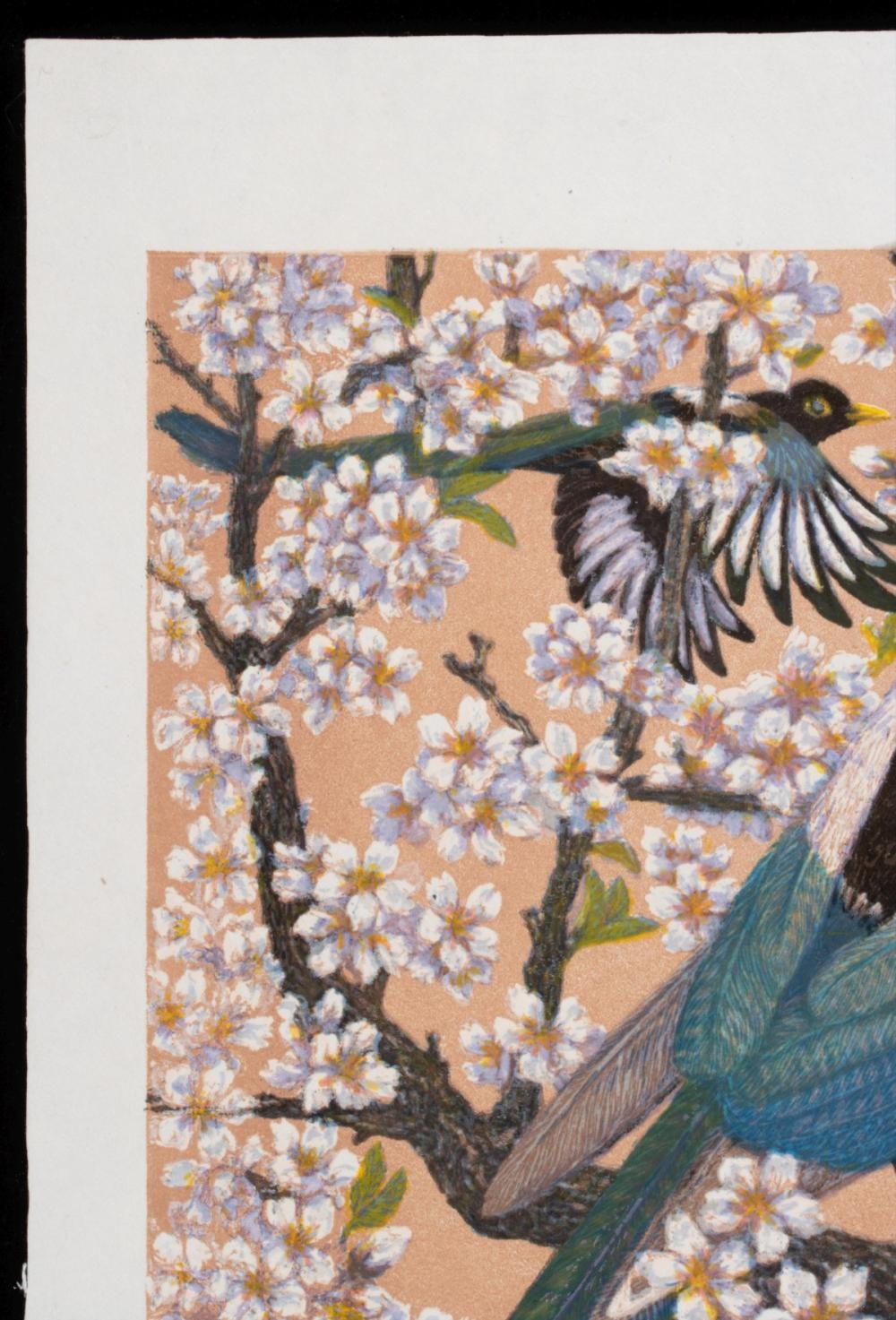 Janet Turner | Magpie in an Almond Tree (1986) | MutualArt