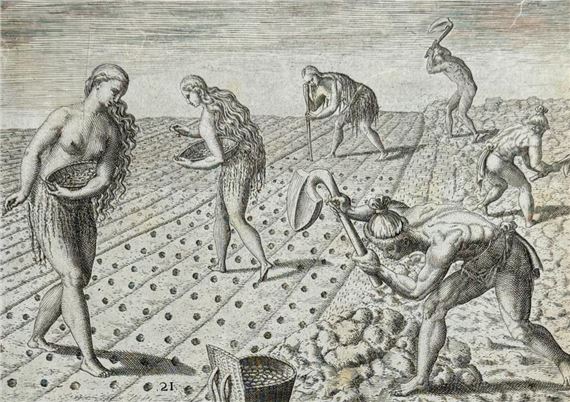 Theodor de Bry | Mode of tilling and planting (1590 - 1609) | MutualArt