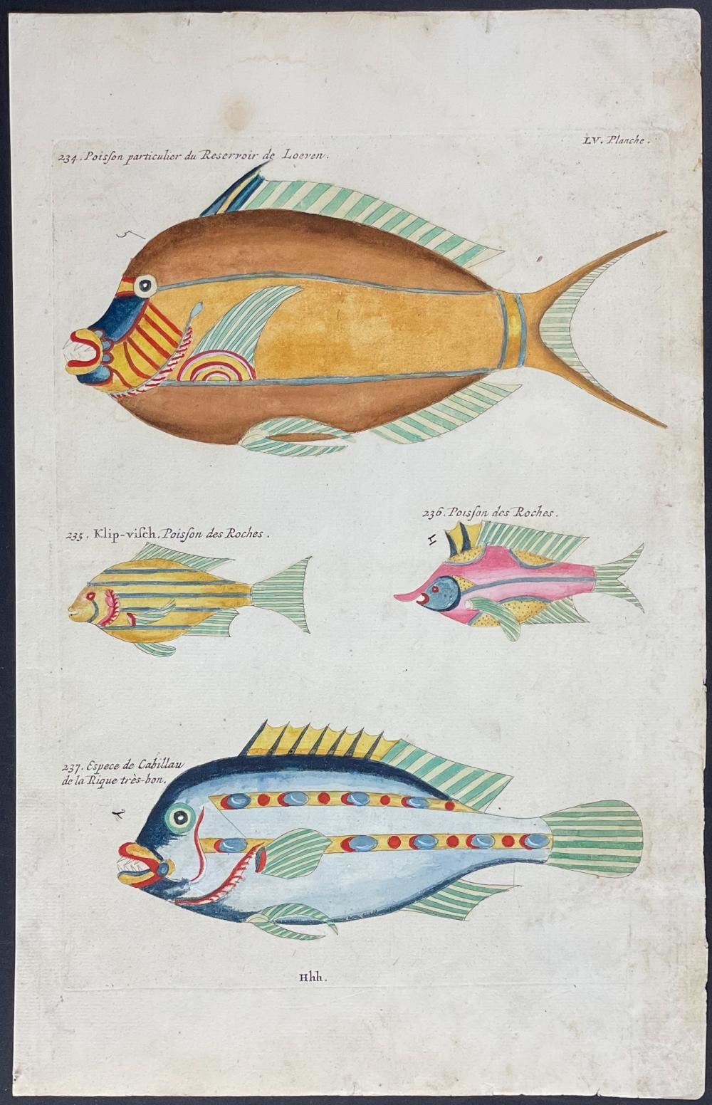 Louis Renard | Poissons Ecrevisses et Crabes, de diverses couleurs et ...