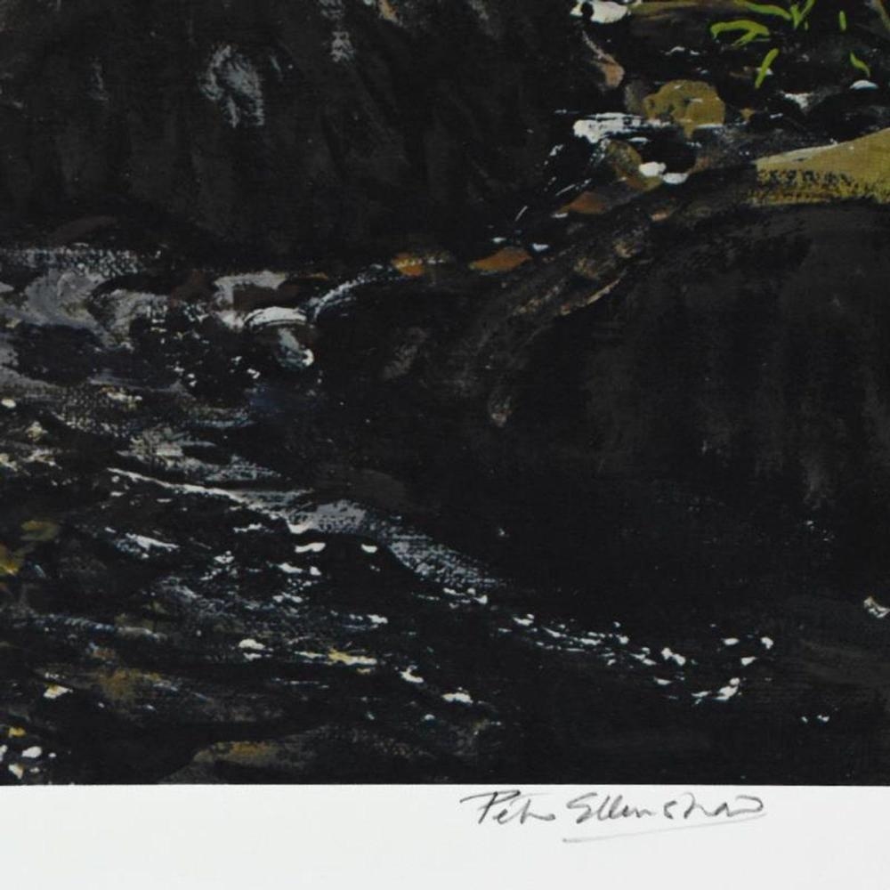 Peter Ellenshaw | Poison Bridge - Donegal | MutualArt