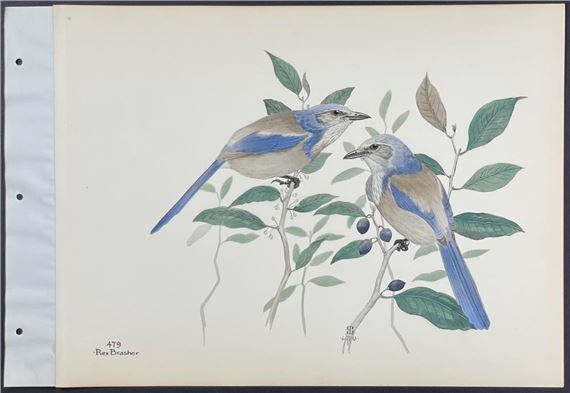 Rex Brasher | Birds and Trees of North America (1931) | MutualArt