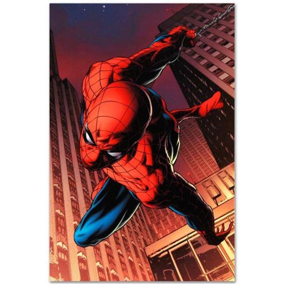 Joe Quesada | Amazing Spider-Man #641 | MutualArt