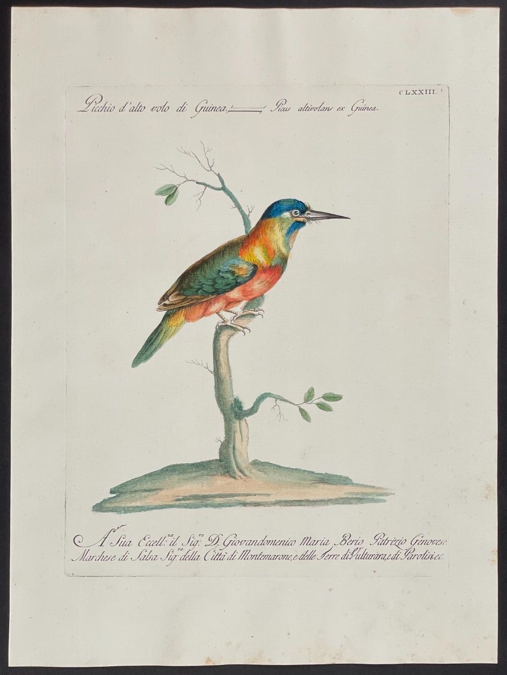 Saverio Manetti | Storia naturale degli Uccelli (1767 - 1784) | MutualArt