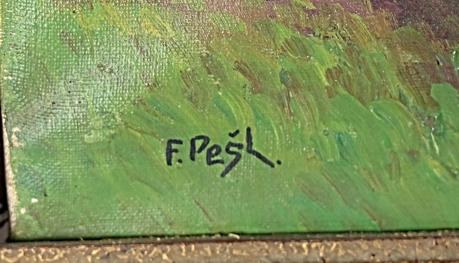 František Pešl | Jaro na vsi | MutualArt