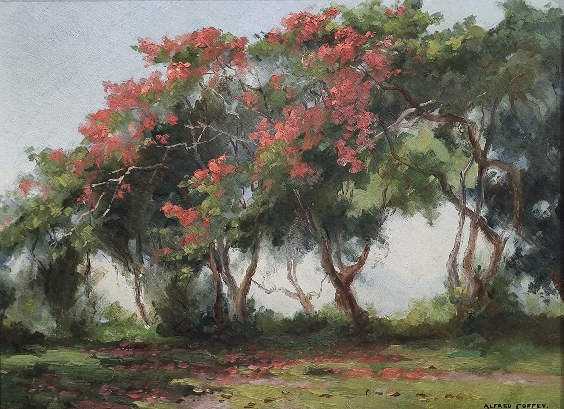 Alfred Coffey | The Flamboyant Tree, Colombo Ceylon | MutualArt