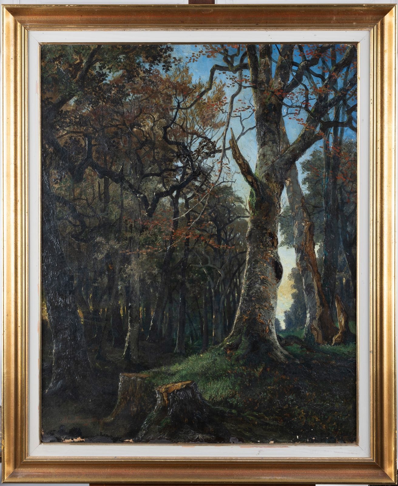 Martinus Antonius Kuytenbrouwer II | Study of a tree in an undergrowth ...
