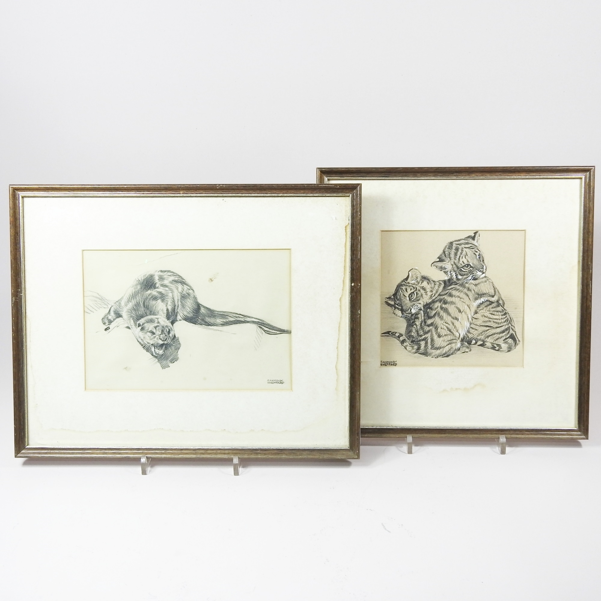 Raymond Sheppard | Tiger Cubs | MutualArt