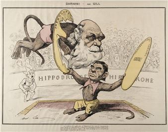 Andre Gill | Darwin (1898) | MutualArt