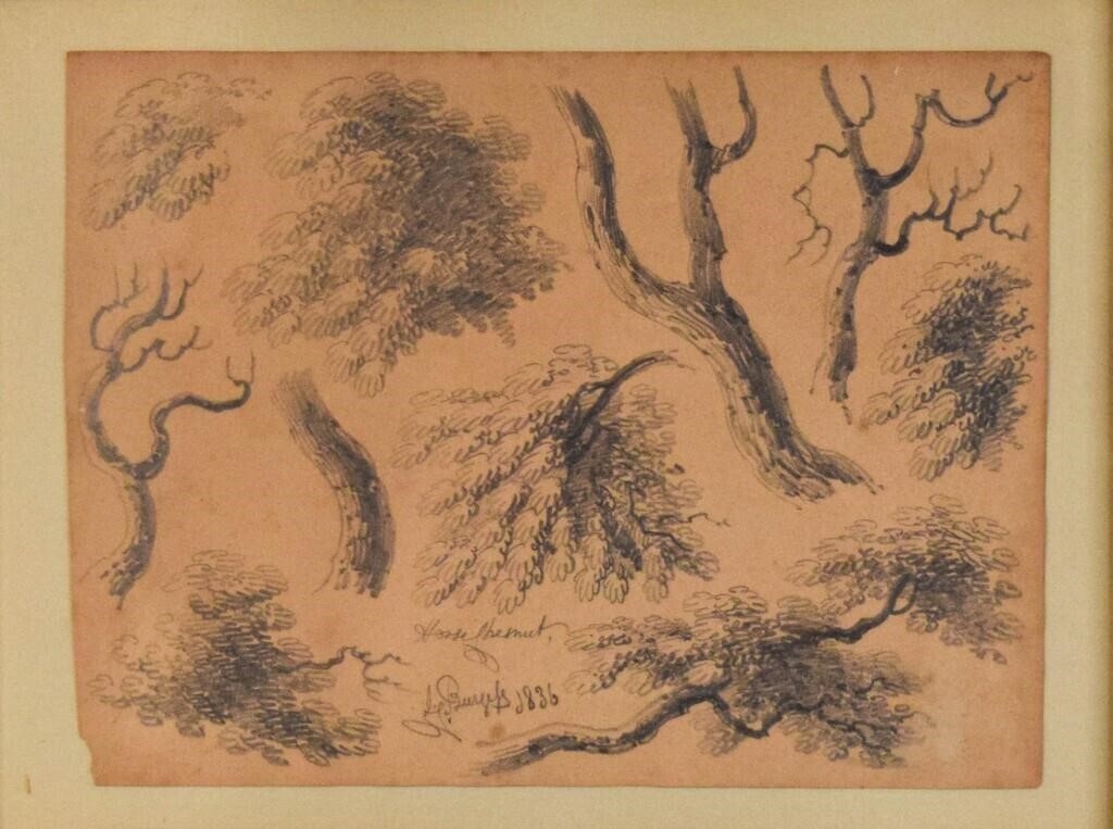 William Henry Burgess | Pencil Drawing Branches | MutualArt