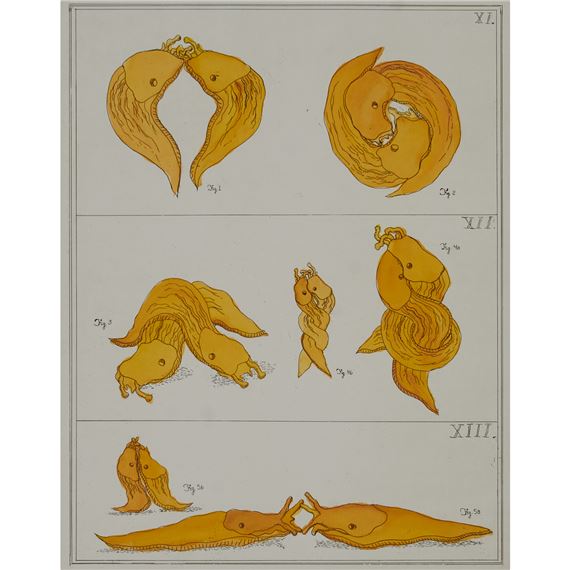 David Gilhooly | Banana Slug (1989) | MutualArt