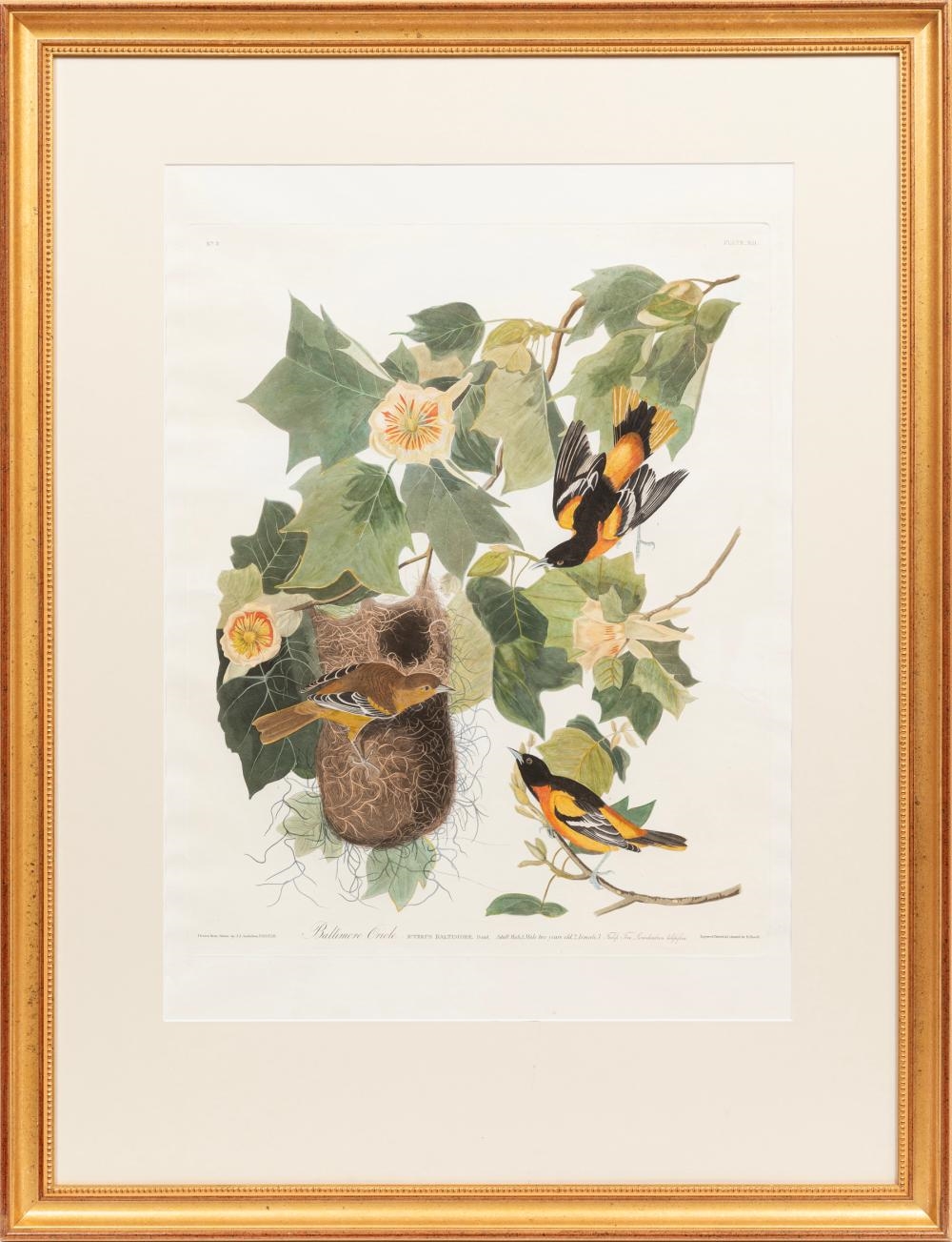 John James Audubon | Baltimore Oriole (1833) | MutualArt