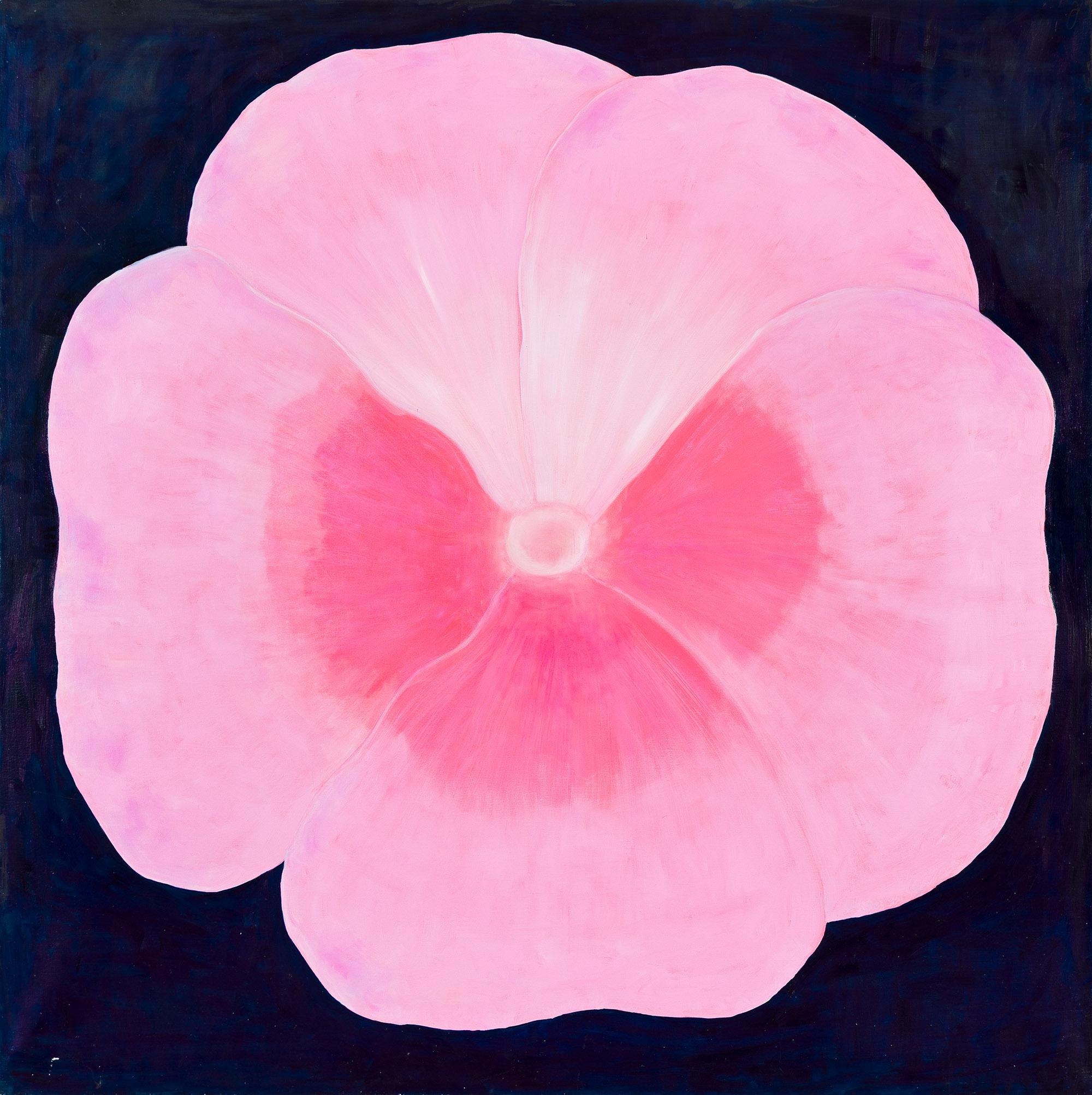 Jo Self | Pink Geranium - from the garden of HH the XIVth Dalai Lama ...