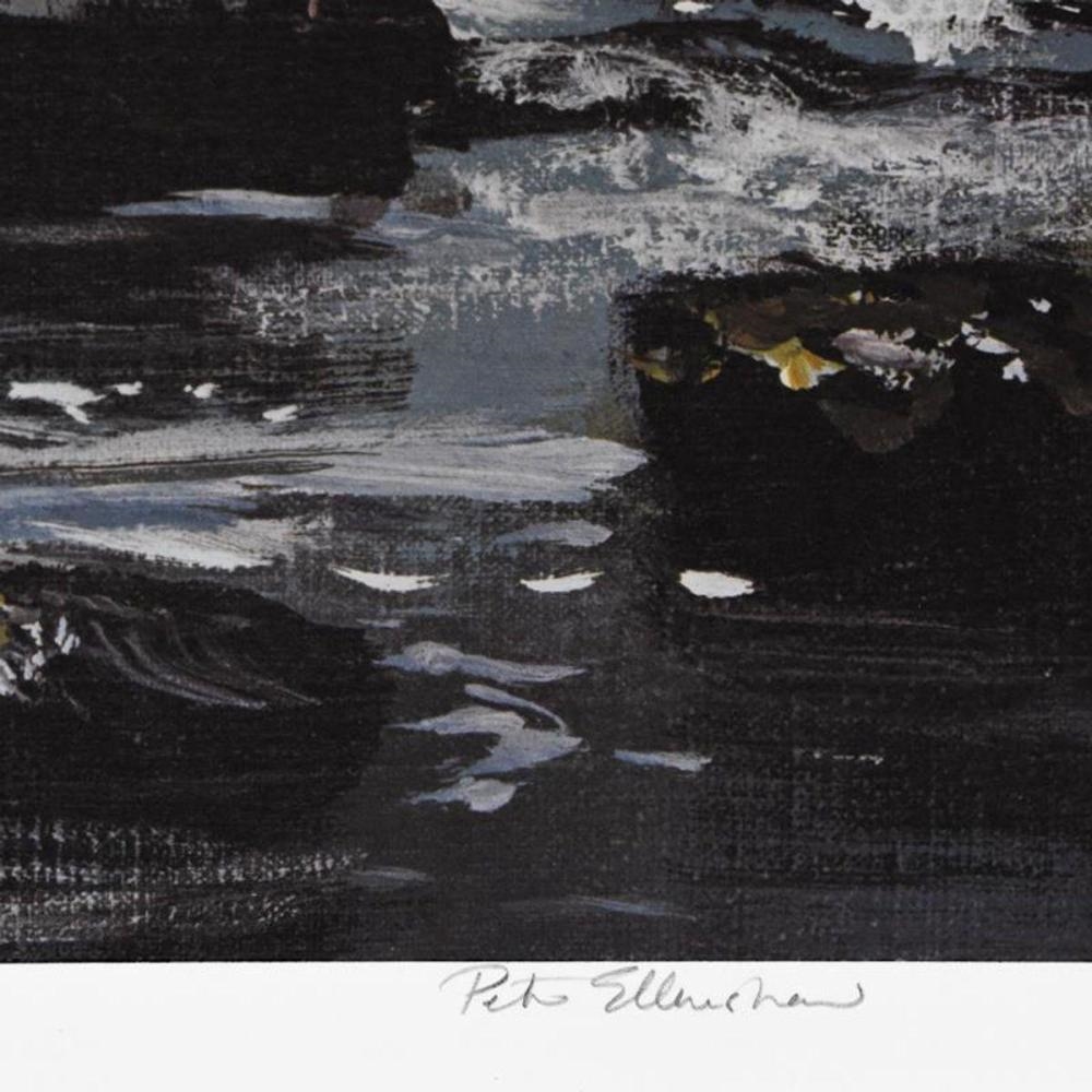 Peter Ellenshaw | Sea Reflections | MutualArt