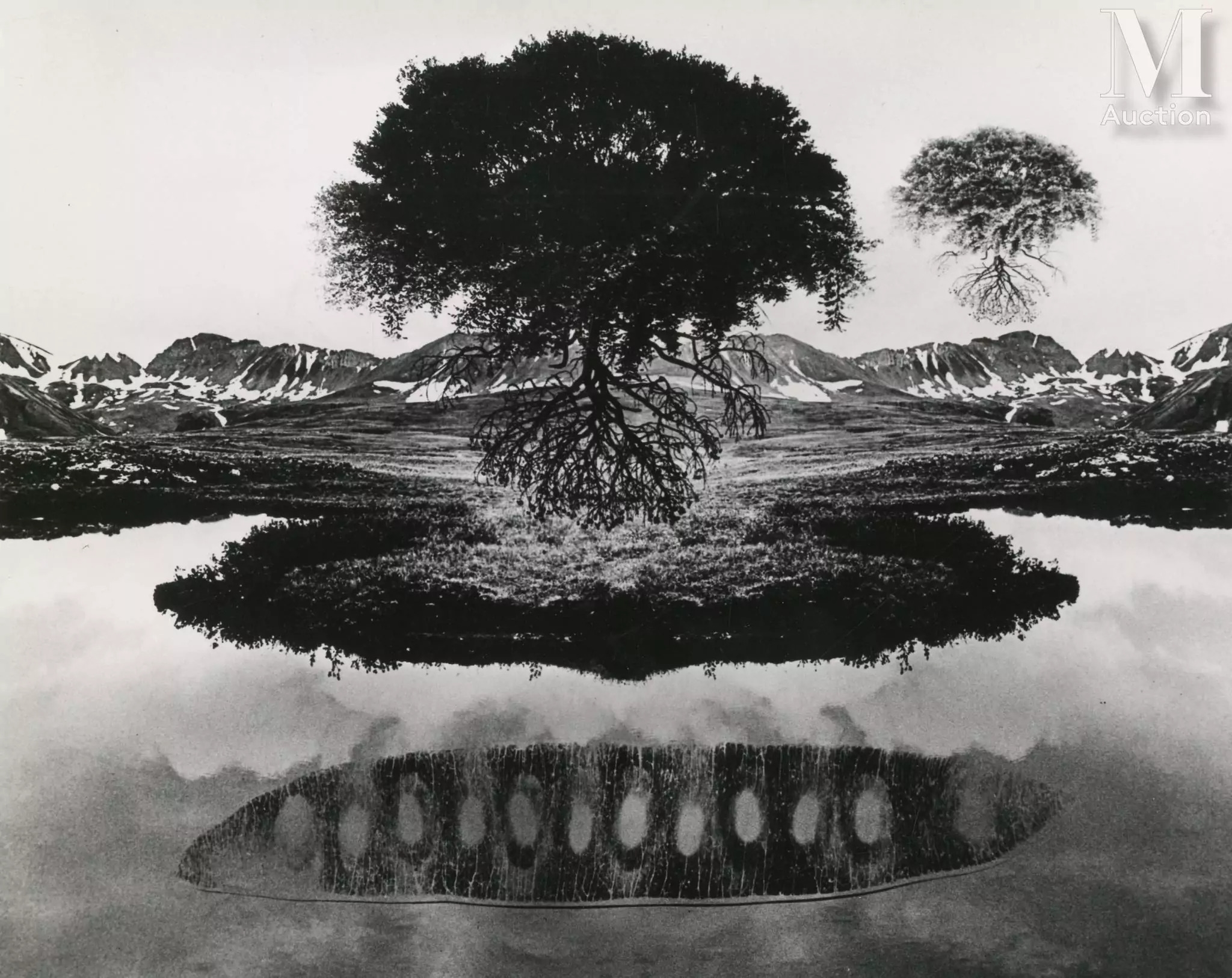 Jerry Uelsmann | Floating trees (1969) | MutualArt