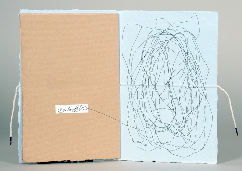Richard Tuttle | Color as Language (2004) | MutualArt