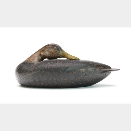 Louis C. Rathmell | Rare sleeping black duck | MutualArt