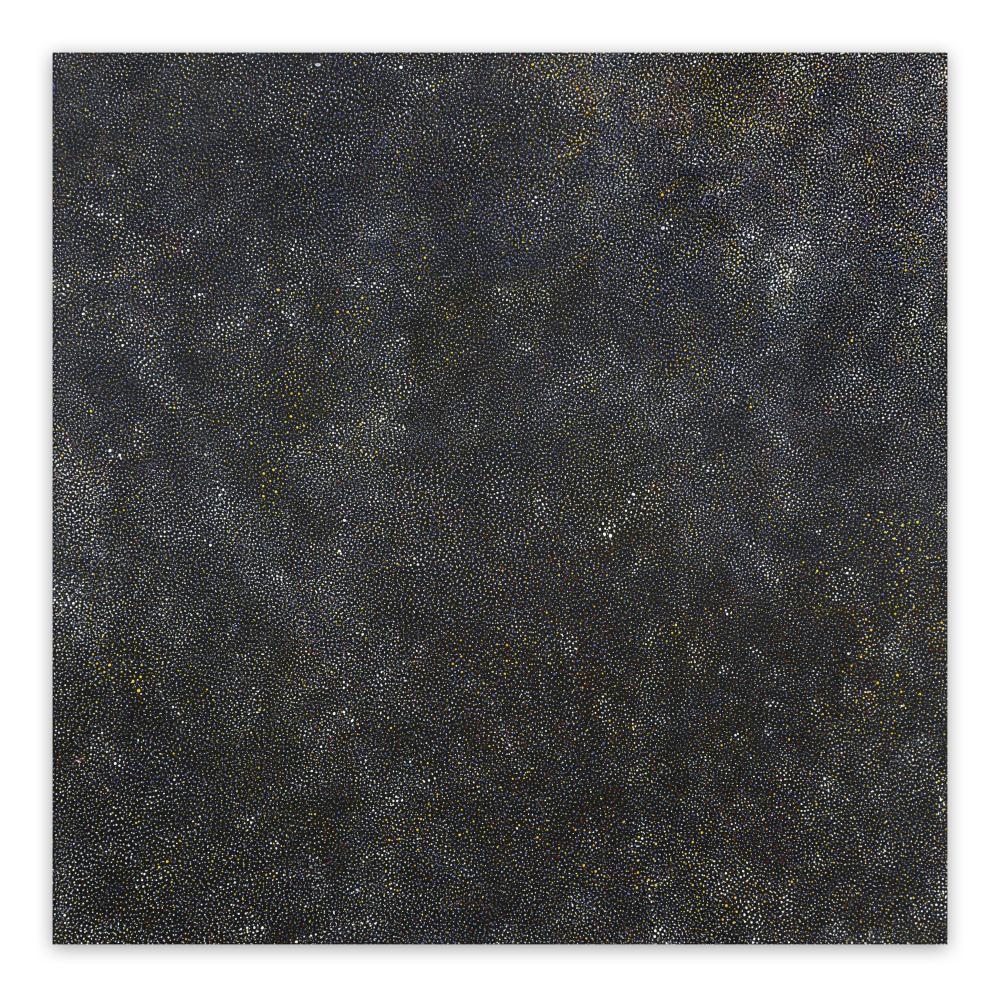 Angelina Ngale | Bush Plum (2011) | MutualArt