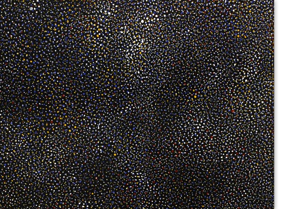 Angelina Ngale | Bush Plum (2011) | MutualArt